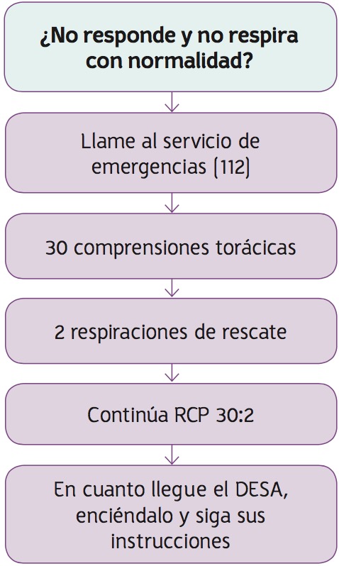 2. Procedimientos fundamentales en el soporte vital básico - DEMO ...