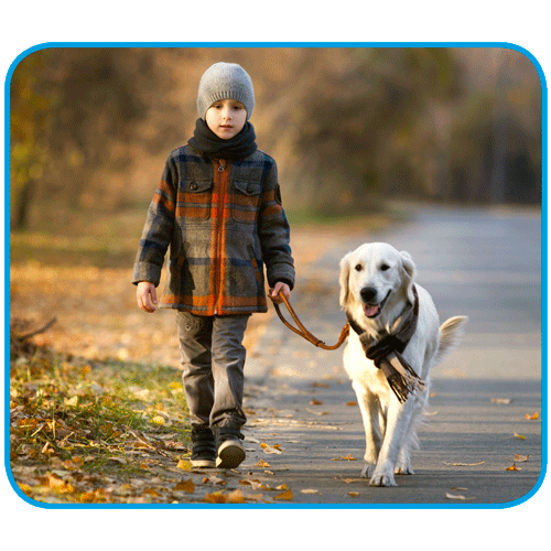 Blink Activity | BlinkLearning