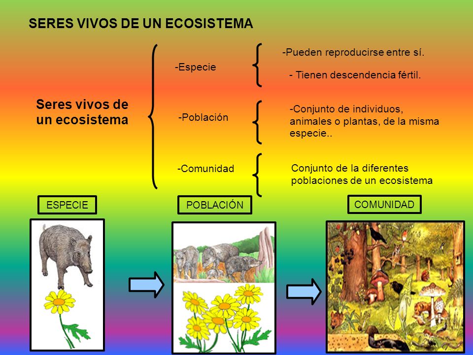 Blink Activity | BlinkLearning