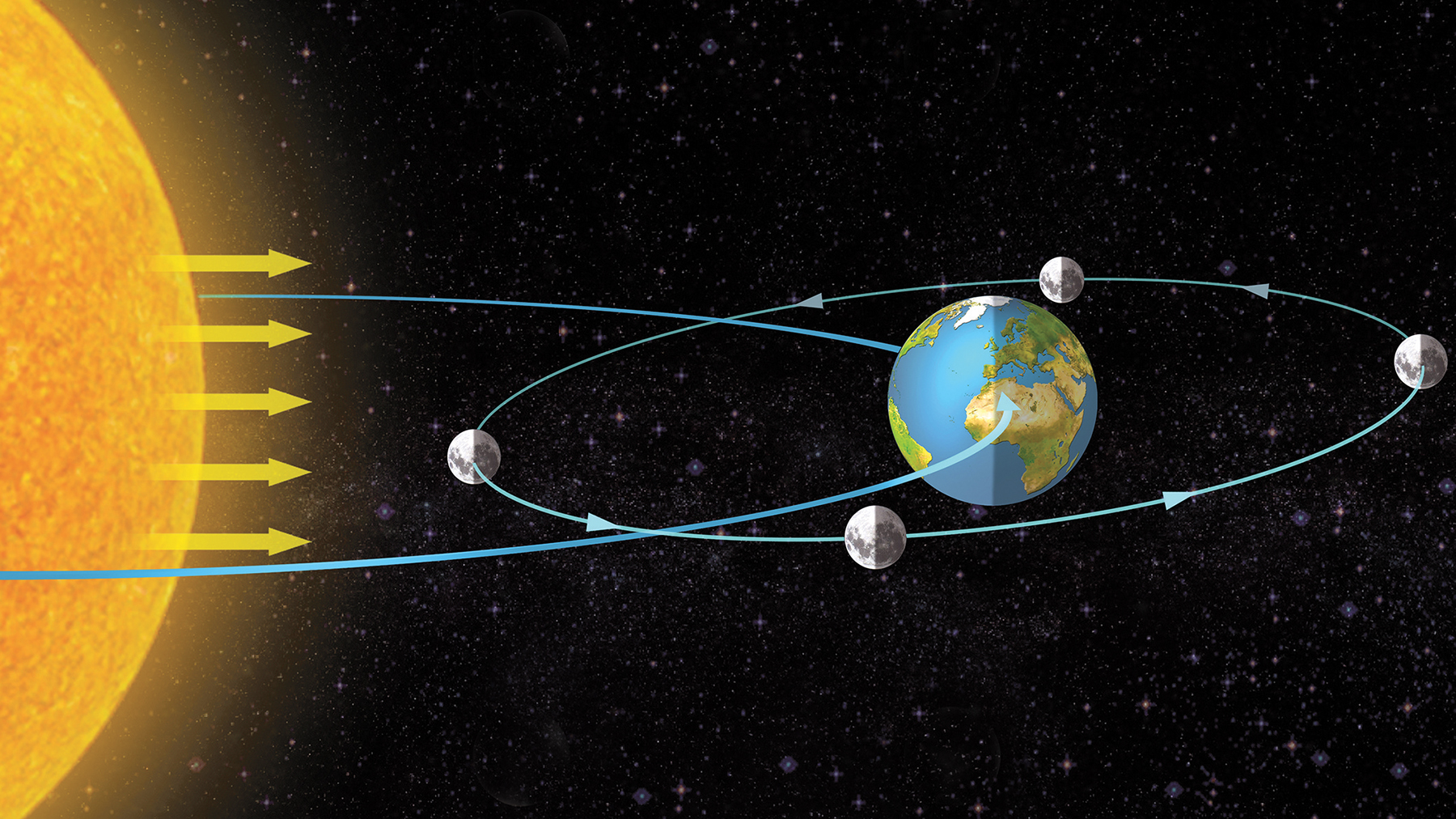 Blink Activity | BlinkLearning