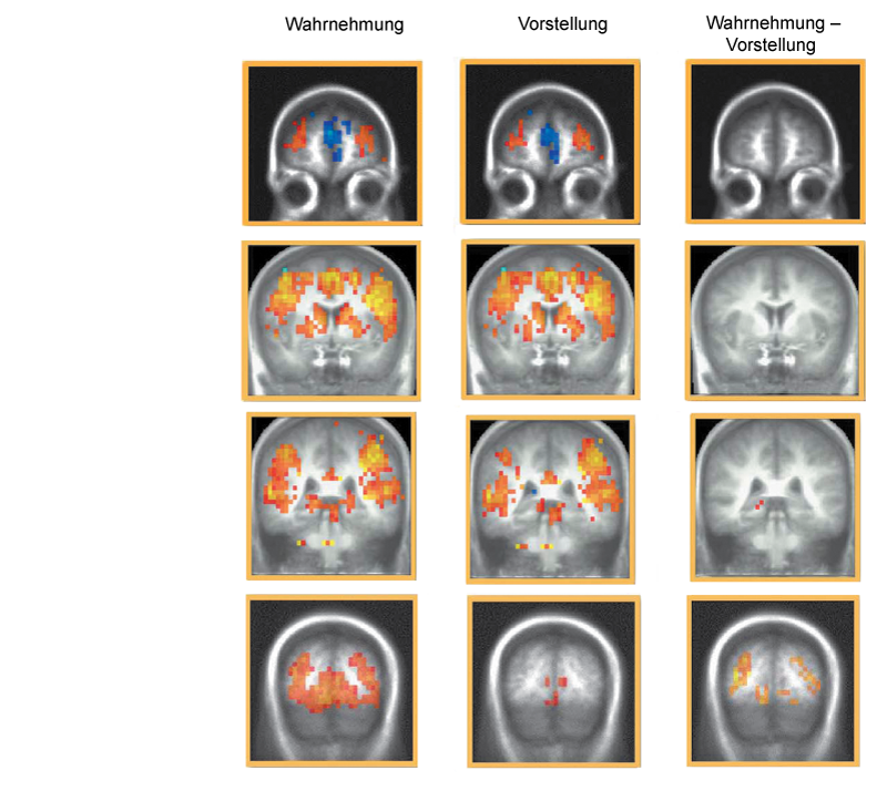 Blink Activity | BlinkLearning
