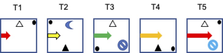 Blink Activity | BlinkLearning