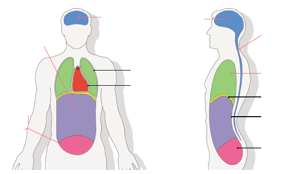 Blink Activity | BlinkLearning