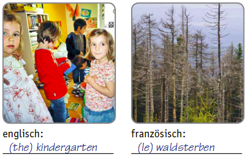 Blink Activity | BlinkLearning