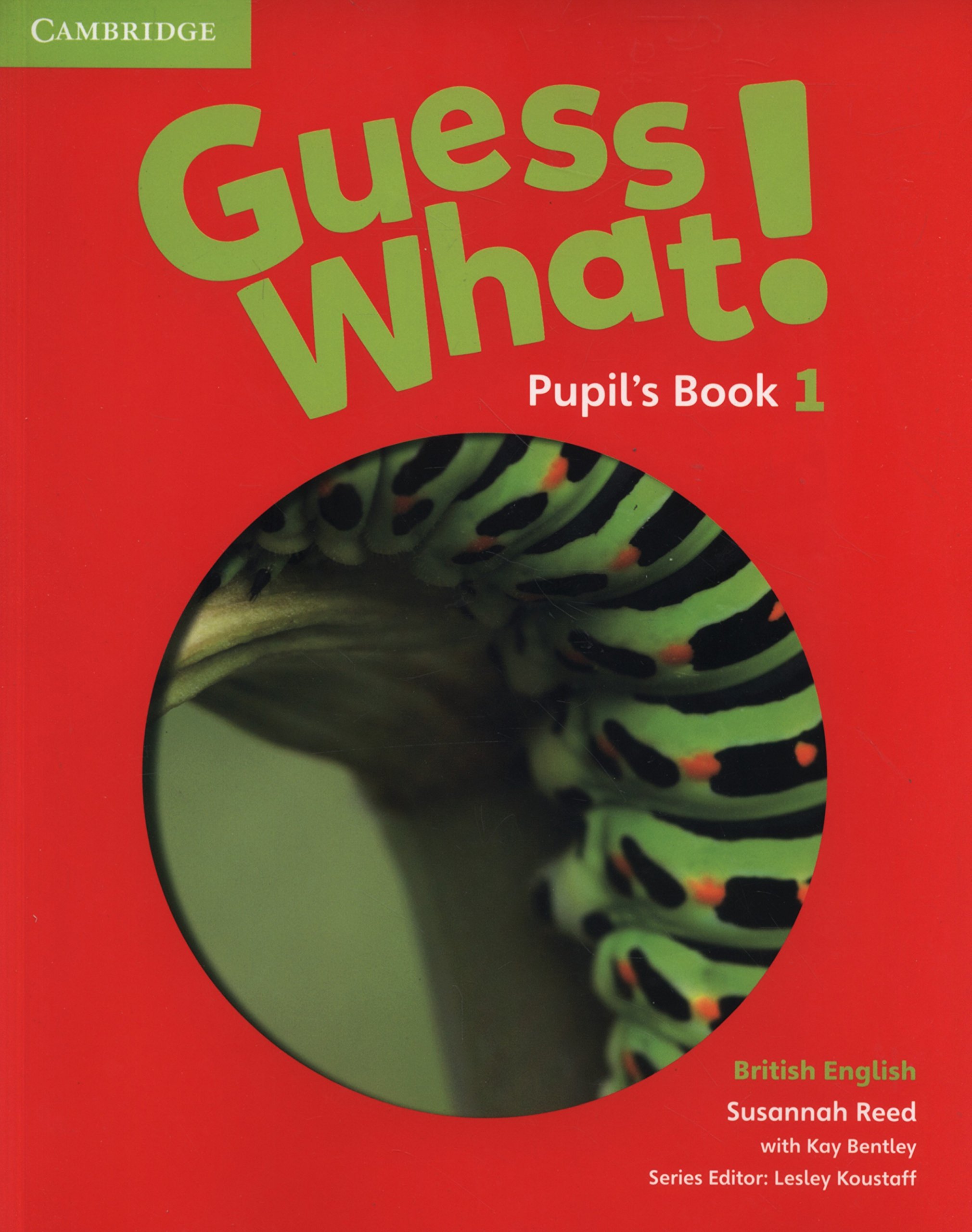 English 1st Primary | Digital book | BlinkLearning