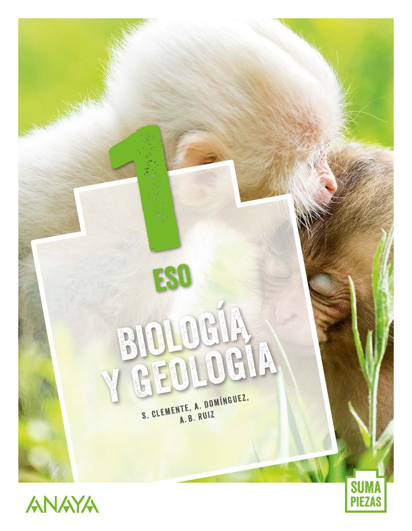 Biología y Geología 1. ESO. Anaya + Digital. | Digital book | BlinkLearning
