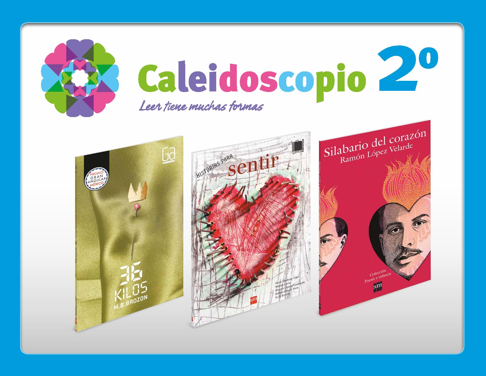Caleidoscopio 2 | Digital book | BlinkLearning