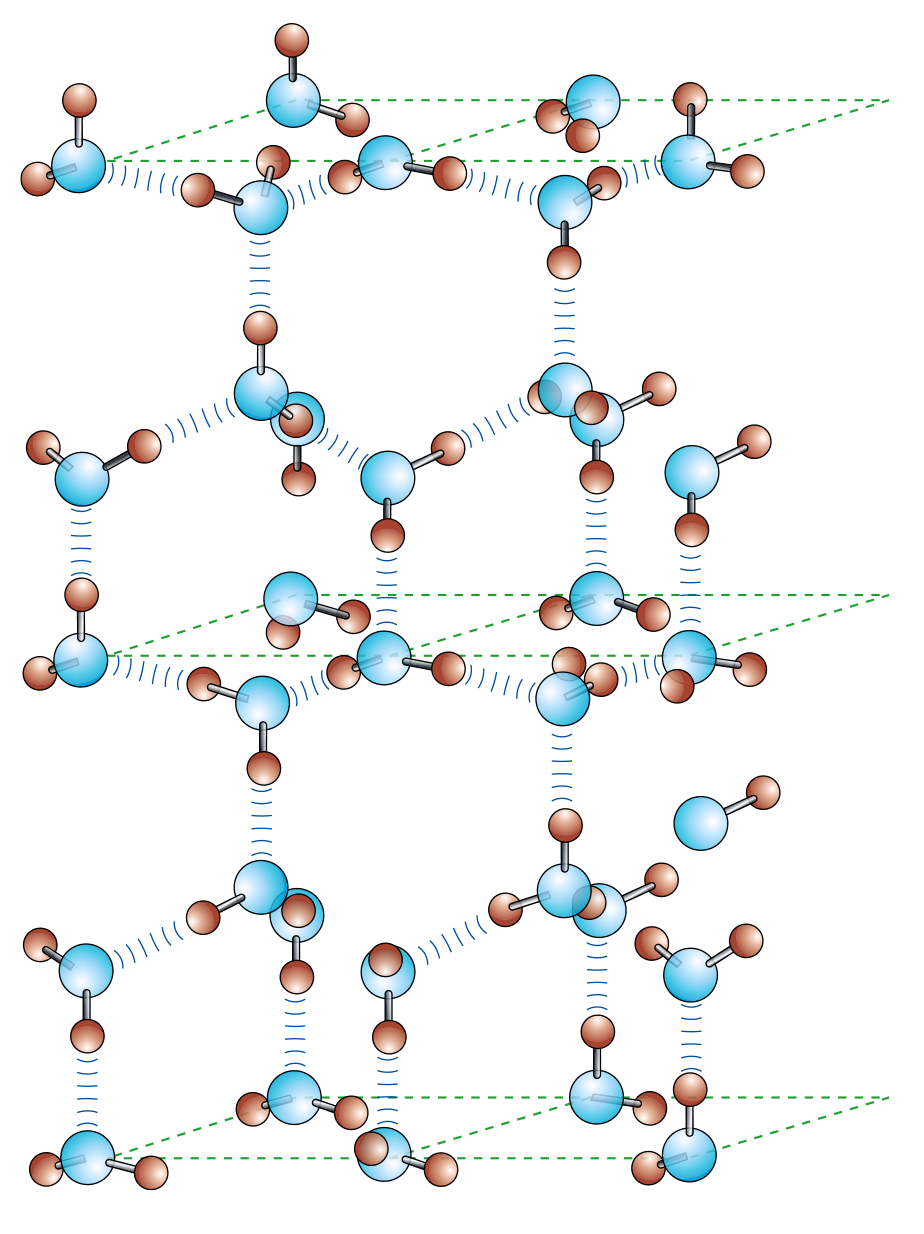 Estructura Esquelética Del Agua