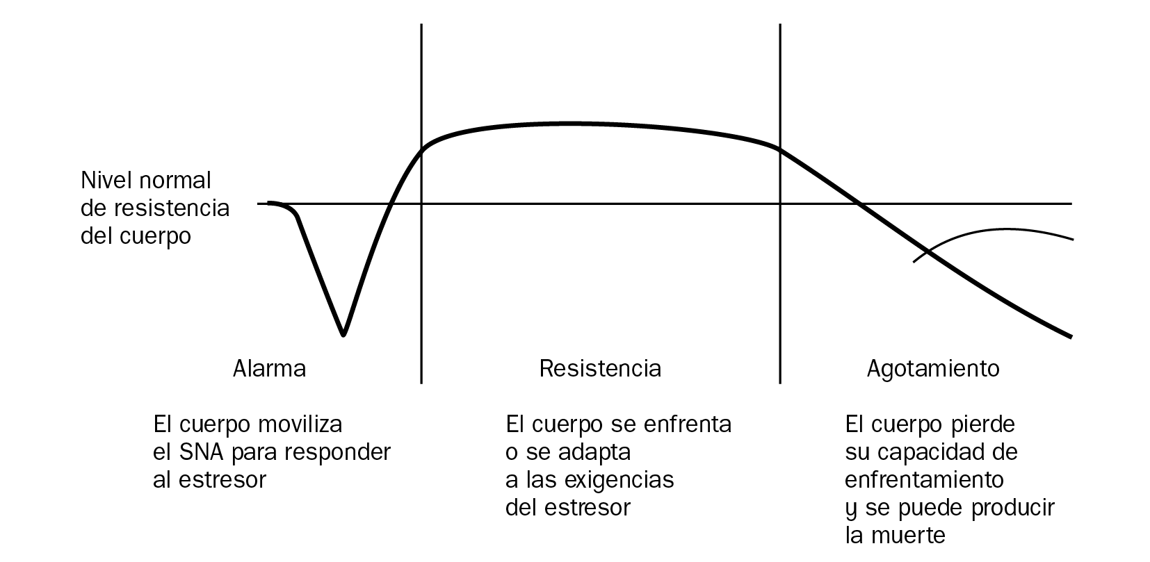 7. El estrés