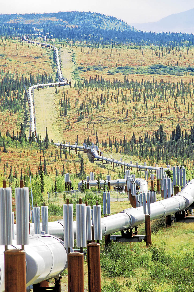 Blink Activity | BlinkLearning